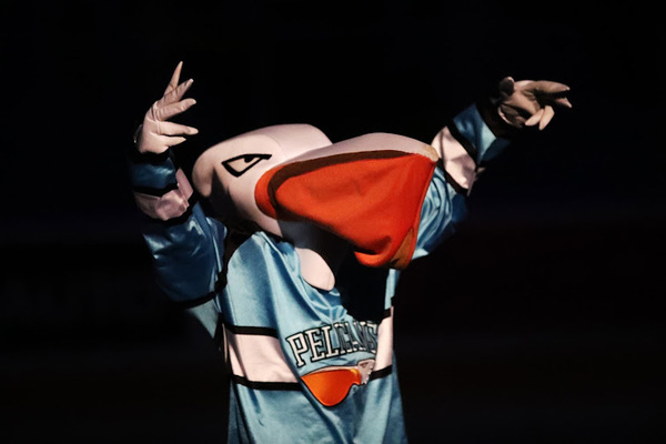 JuniorPelicans - Viikkokatsaus: Pekko Pelikaani bongattu SOL Areenalla